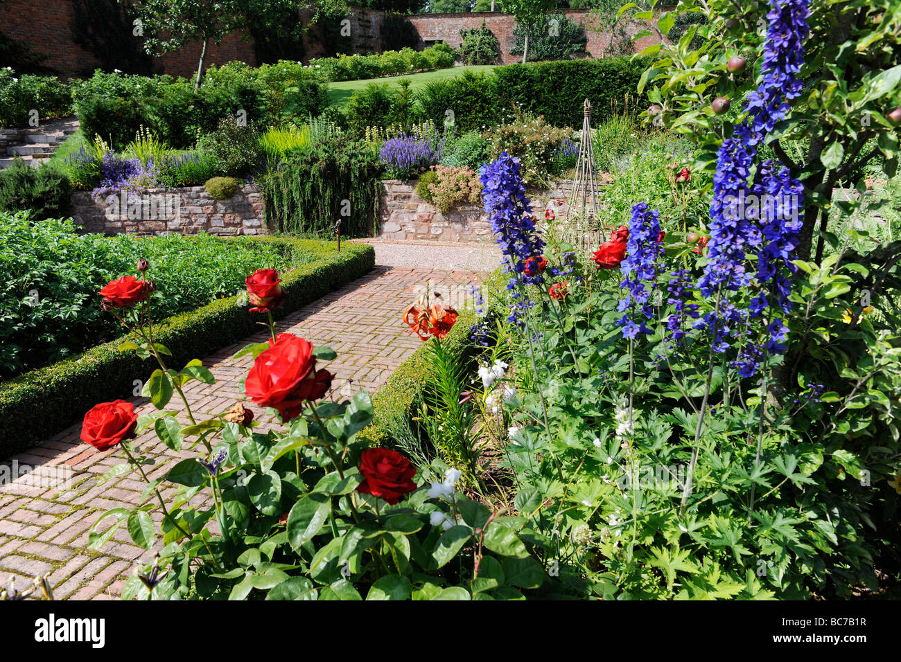 Greenhouse and plants in Holcombe Court, Devon, UK Stock Photo - Alamy