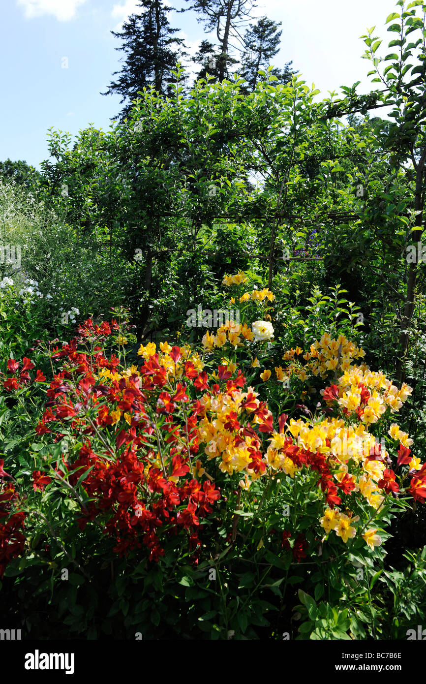 Greenhouse and plants in Holcombe Court, Devon, UK Stock Photo - Alamy