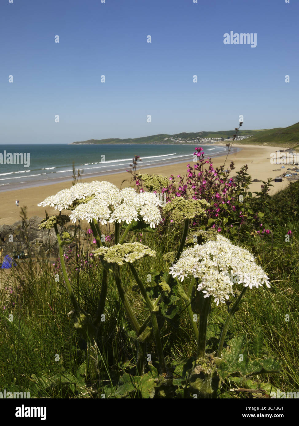 Woolacombe england hi-res stock photography and images - Alamy