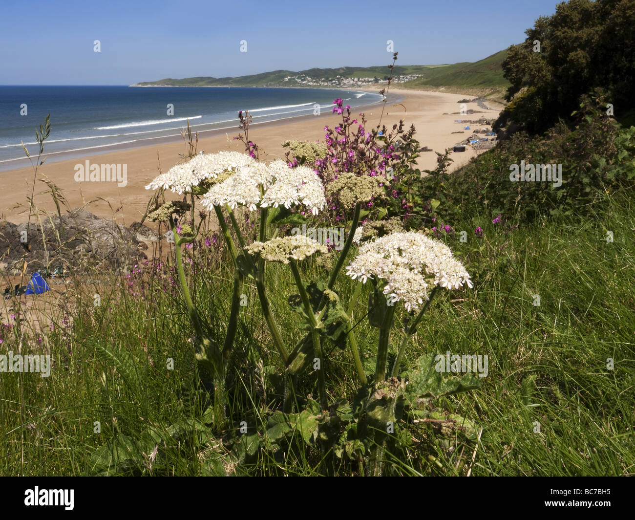 devon coast woolacombe england uk coast coastal Stock Photo - Alamy