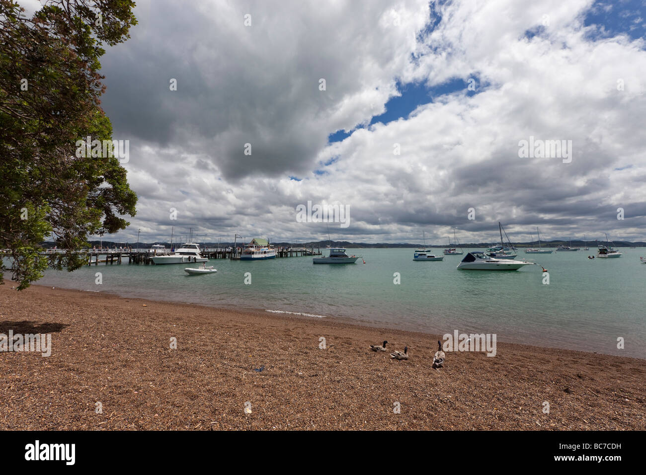 Beach of Russell and Bay of Islands - Panorama in Northland, North ...