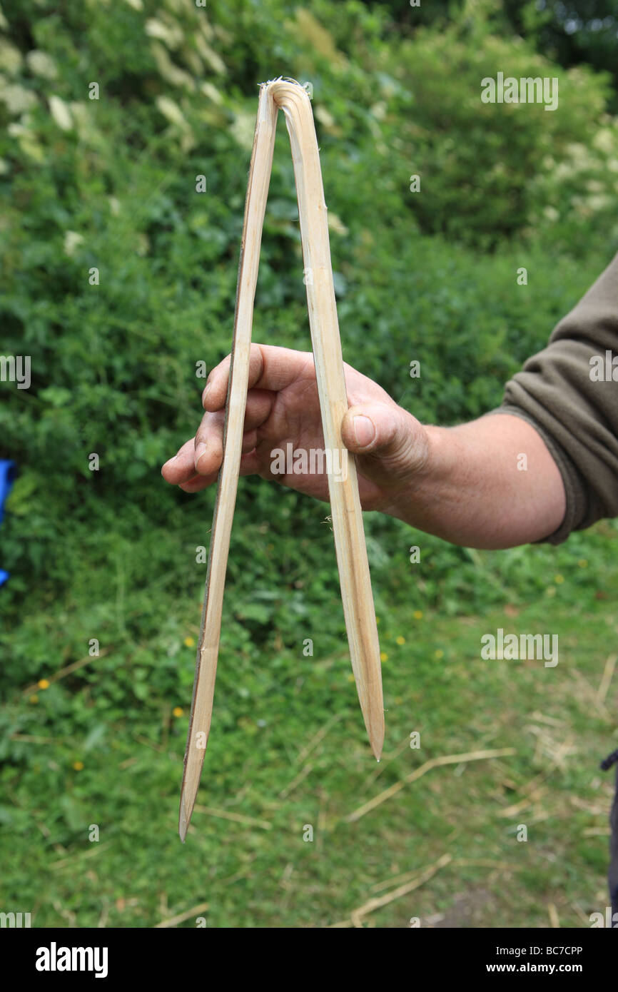 Hazel wood hi-res stock photography and images - Alamy