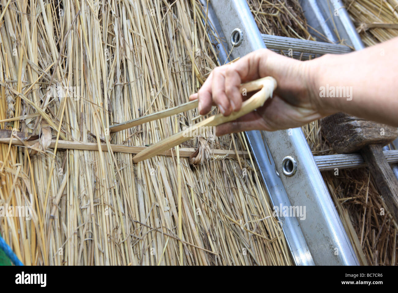Reed thatch on a roof hi-res stock photography and images - Alamy