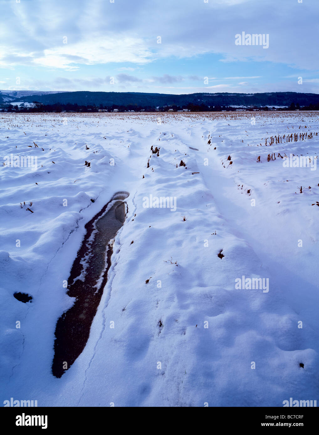 Field snow england hi-res stock photography and images - Alamy