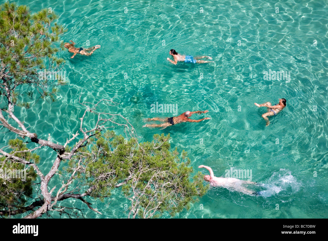 Sea pi hi-res stock photography and images - Alamy