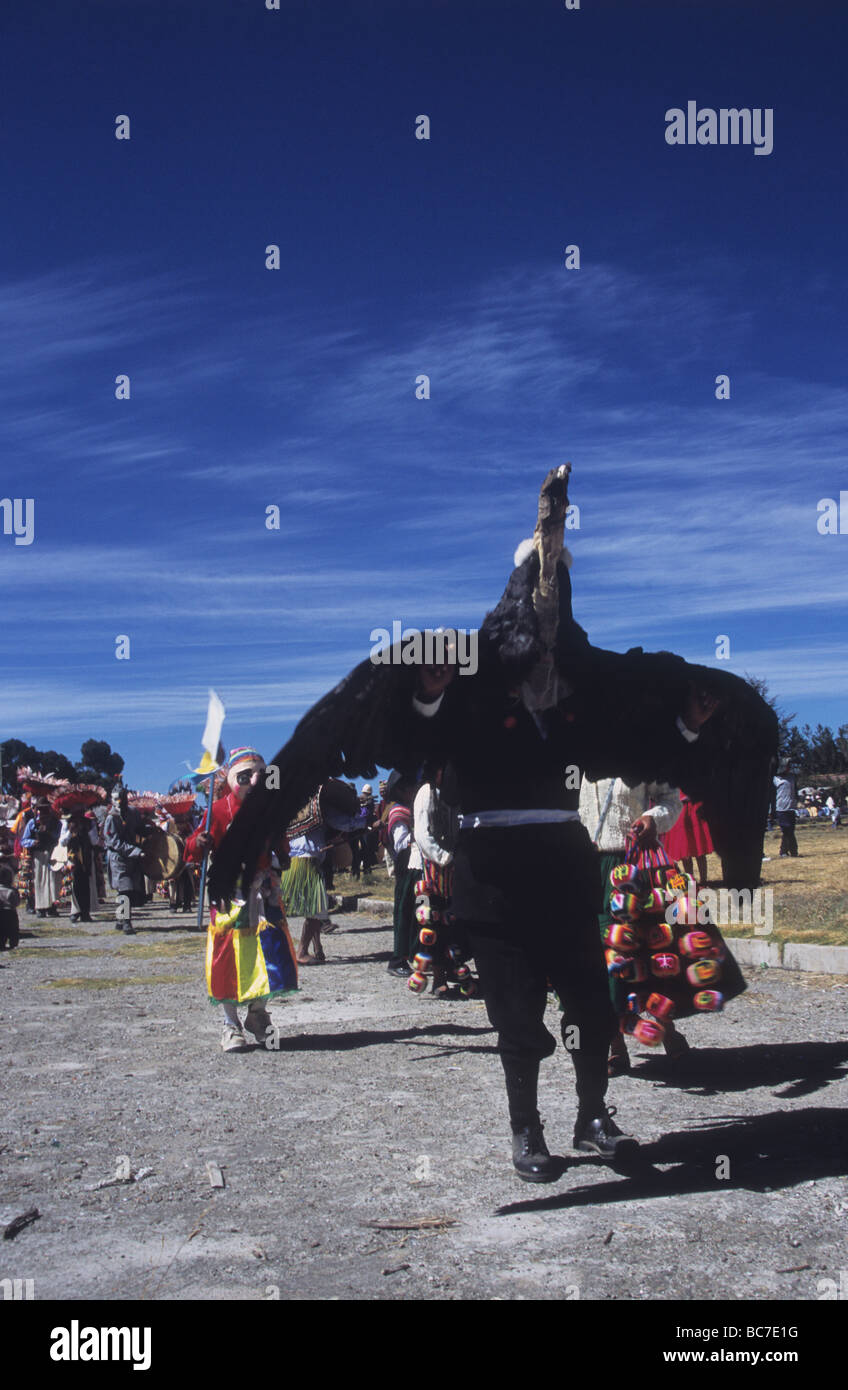 Man wearing a dead Andean condor (Vultur gryphus) dancing with Suri ...
