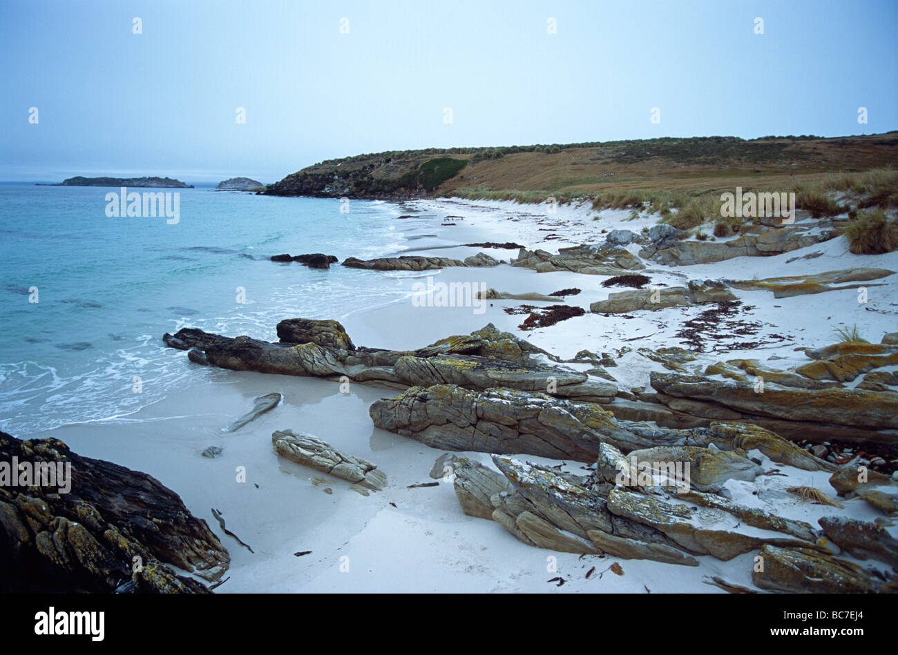 Beaches of the falklands hi-res stock photography and images - Alamy