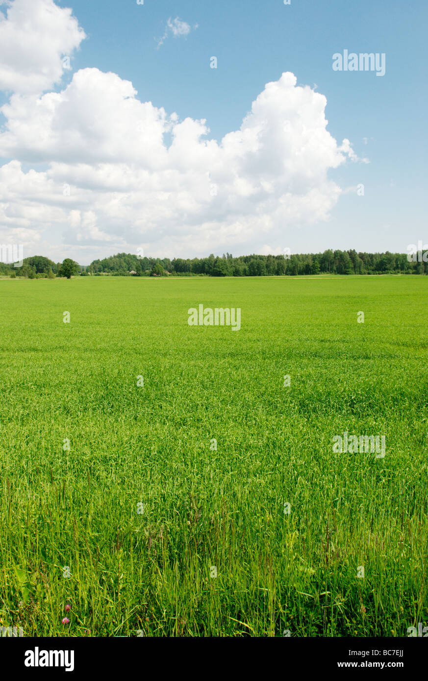 Espoo hi-res stock photography and images - Alamy