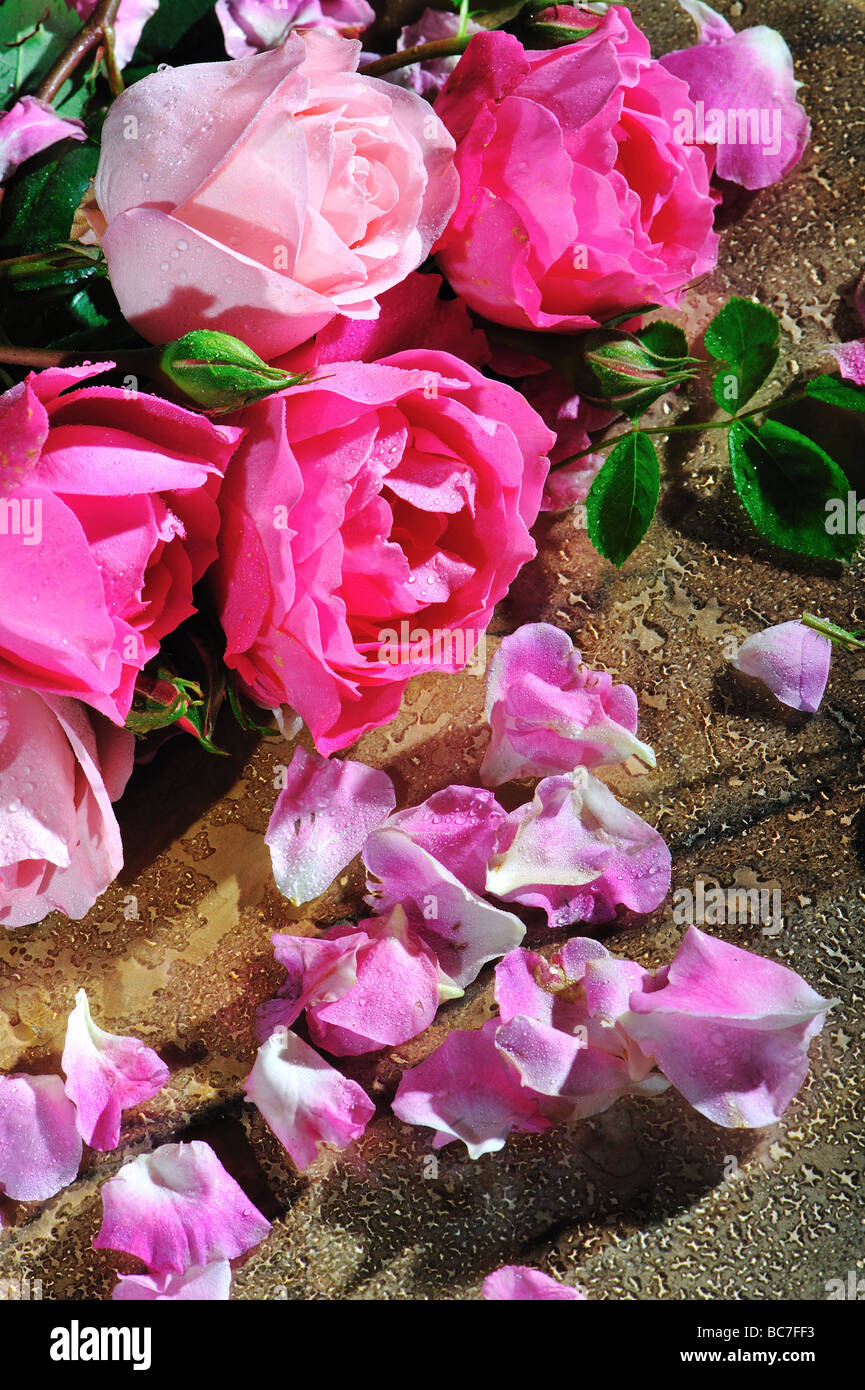 Roses, Stil life, art, natural design, fresh boquet, home, lifestyle ...