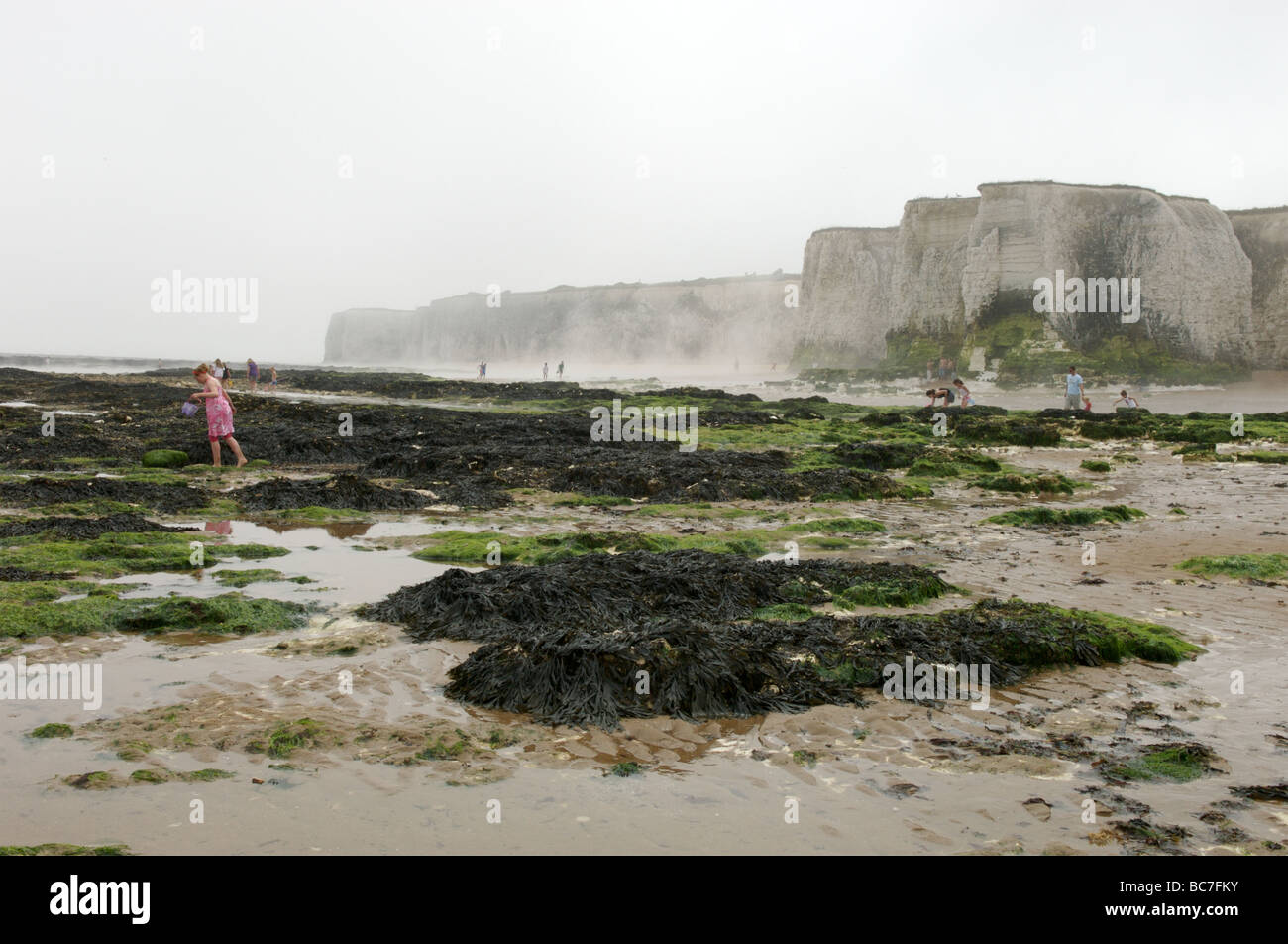 Botany Bay, Kent Stock Photo - Alamy
