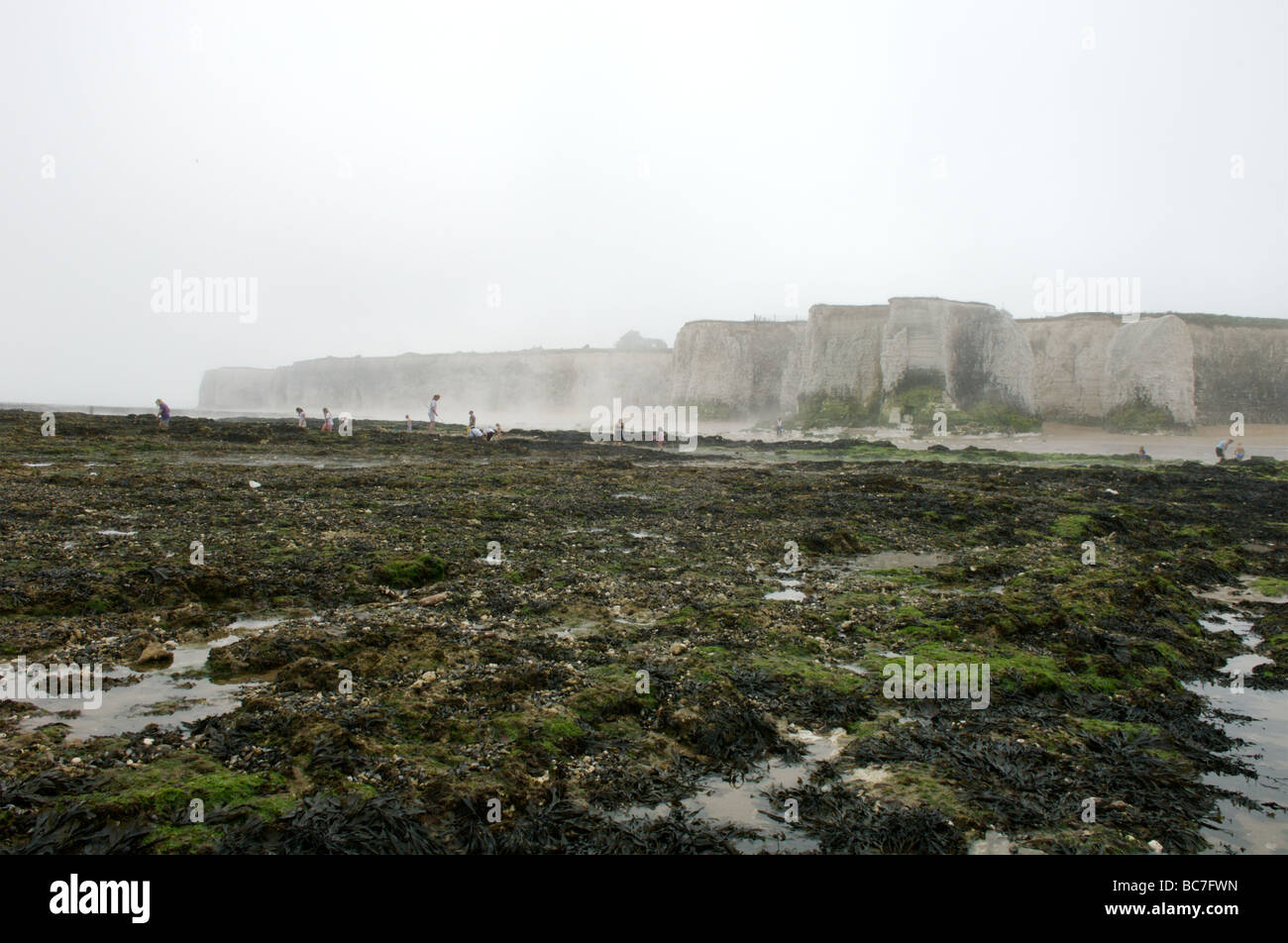 Botany Bay, Kent Stock Photo - Alamy