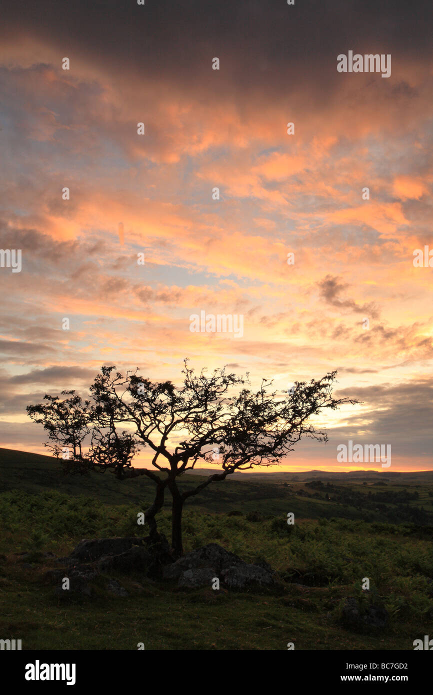 Summer sunset looking towards Hexworthy & Princetown from Combestone ...
