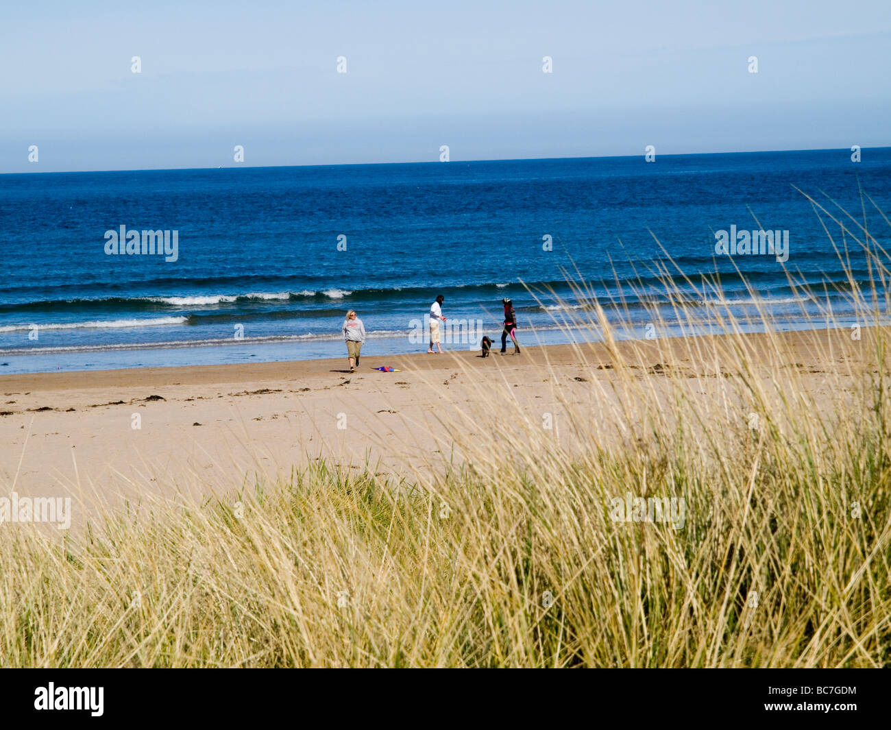 People on the beach, viewed through the dunes at Seahouses ...