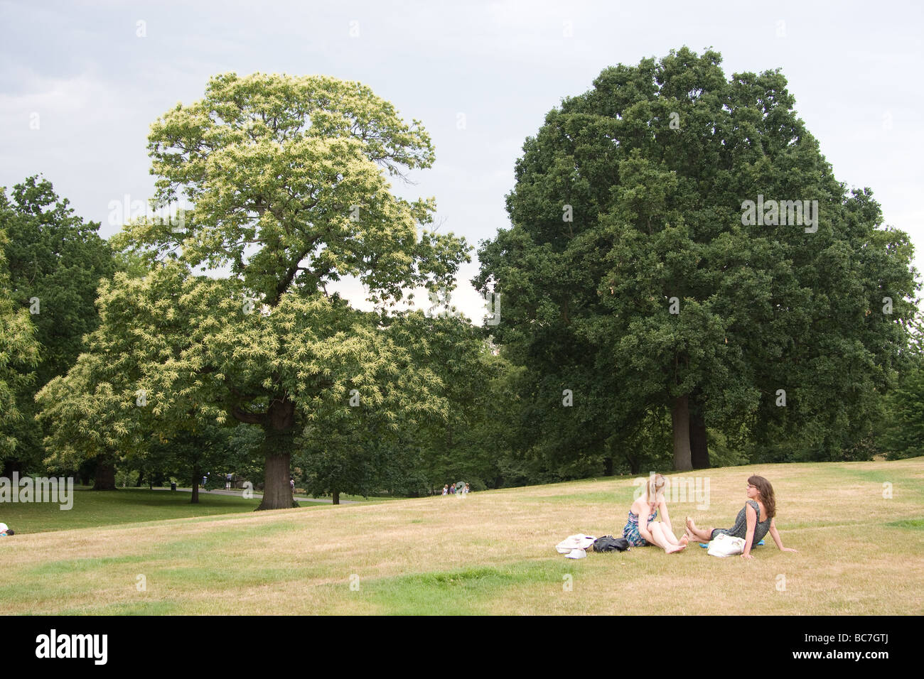 summer trees grass lawn parkland tourists greenwich park london england ...