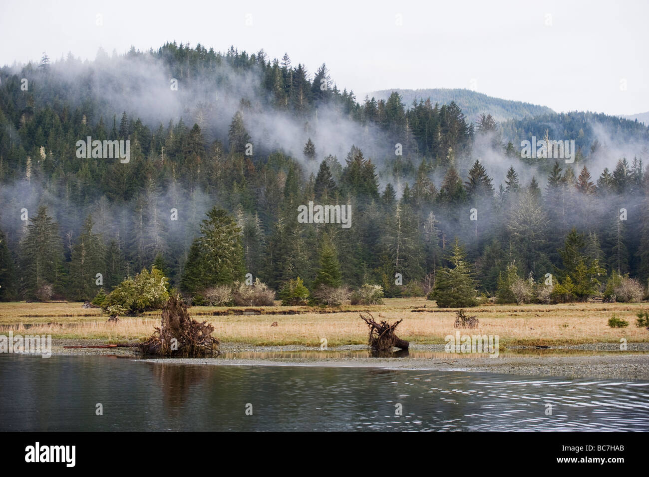 Port renfrew vancouver island hi-res stock photography and images - Alamy