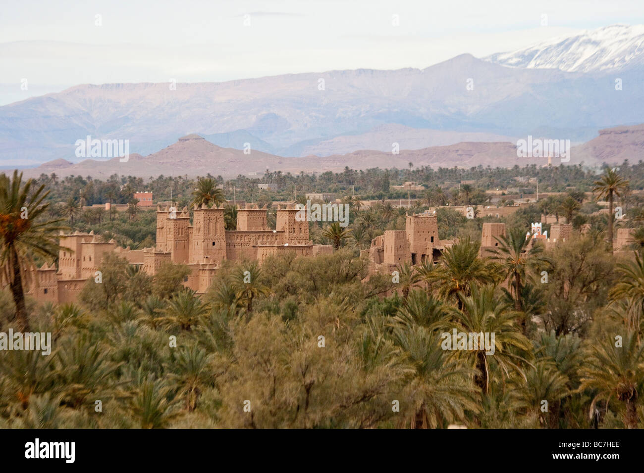 Les Jardins de Skoura Kasbah in Morocco Stock Photo - Alamy