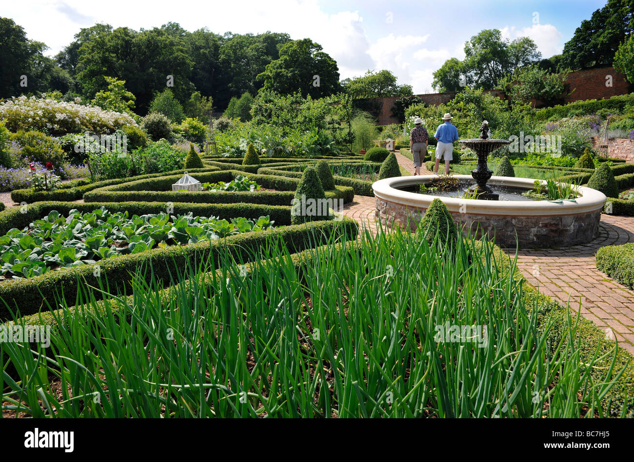 Growing fauna hi-res stock photography and images - Alamy