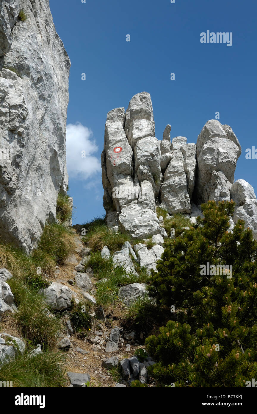Hiking trail through the narrow passage between rocks Stock Photo - Alamy