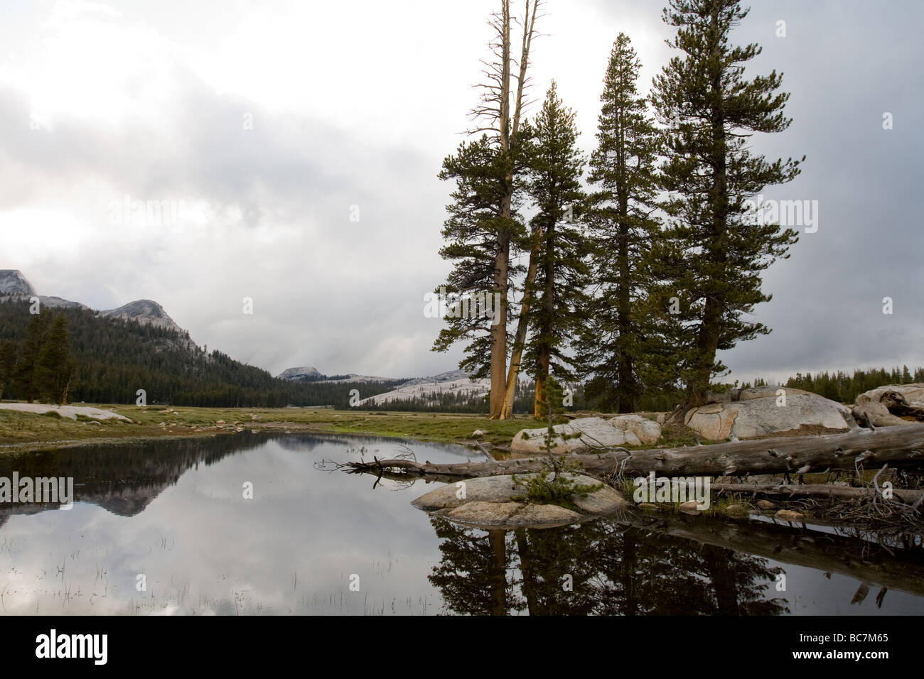 Tuolumne Meadows tarn Stock Photo - Alamy
