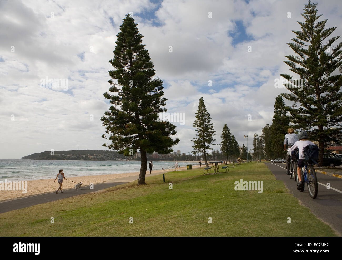 Foreshore path at Manly Beach Stock Photo - Alamy