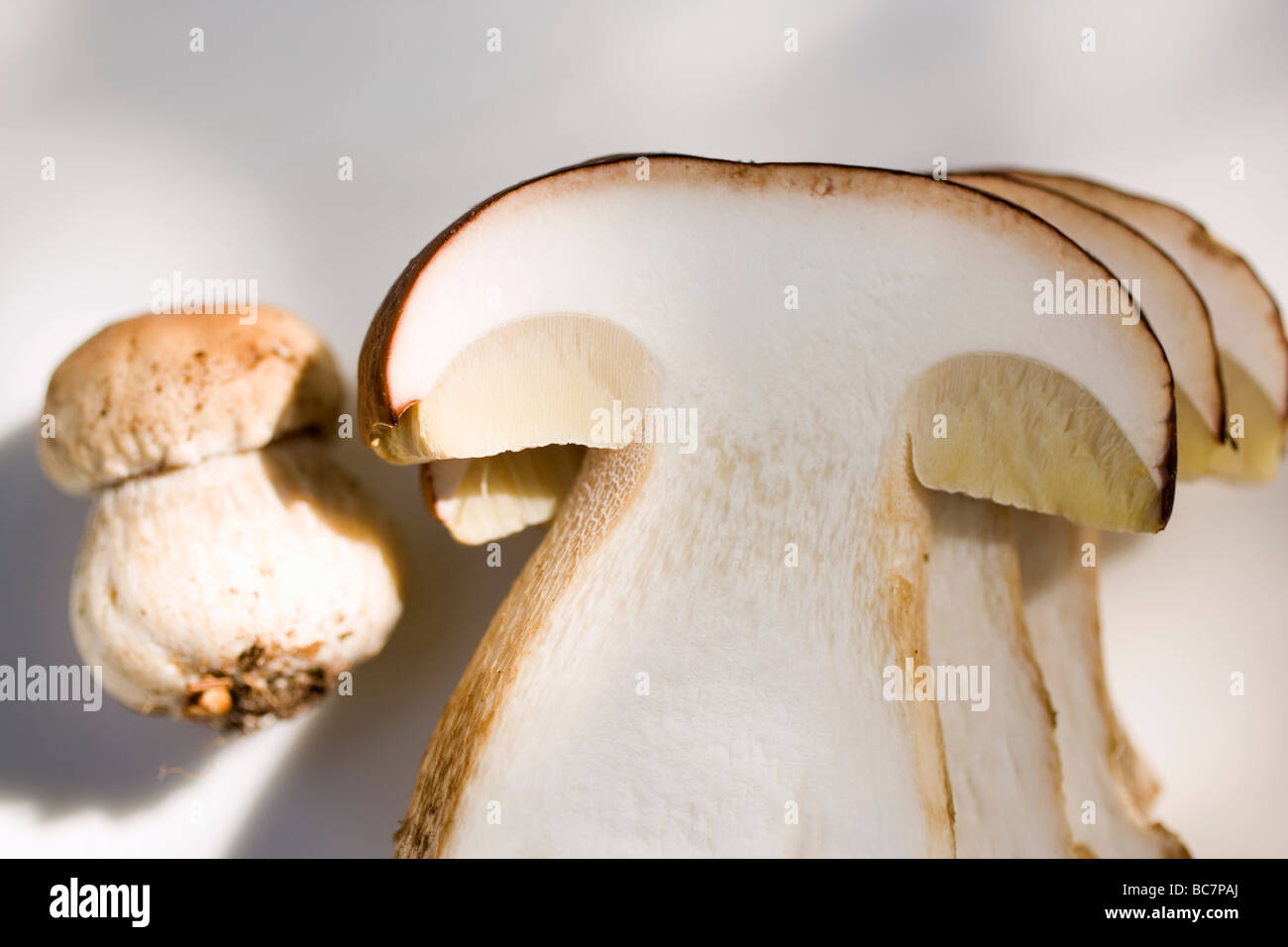 Small cep beside large cep slices Stock Photo - Alamy