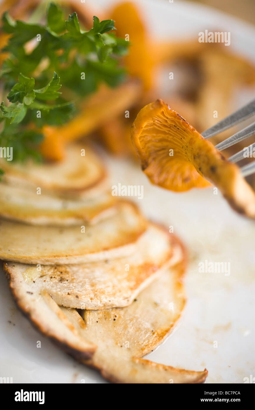 Chanterelle detail hi-res stock photography and images - Alamy