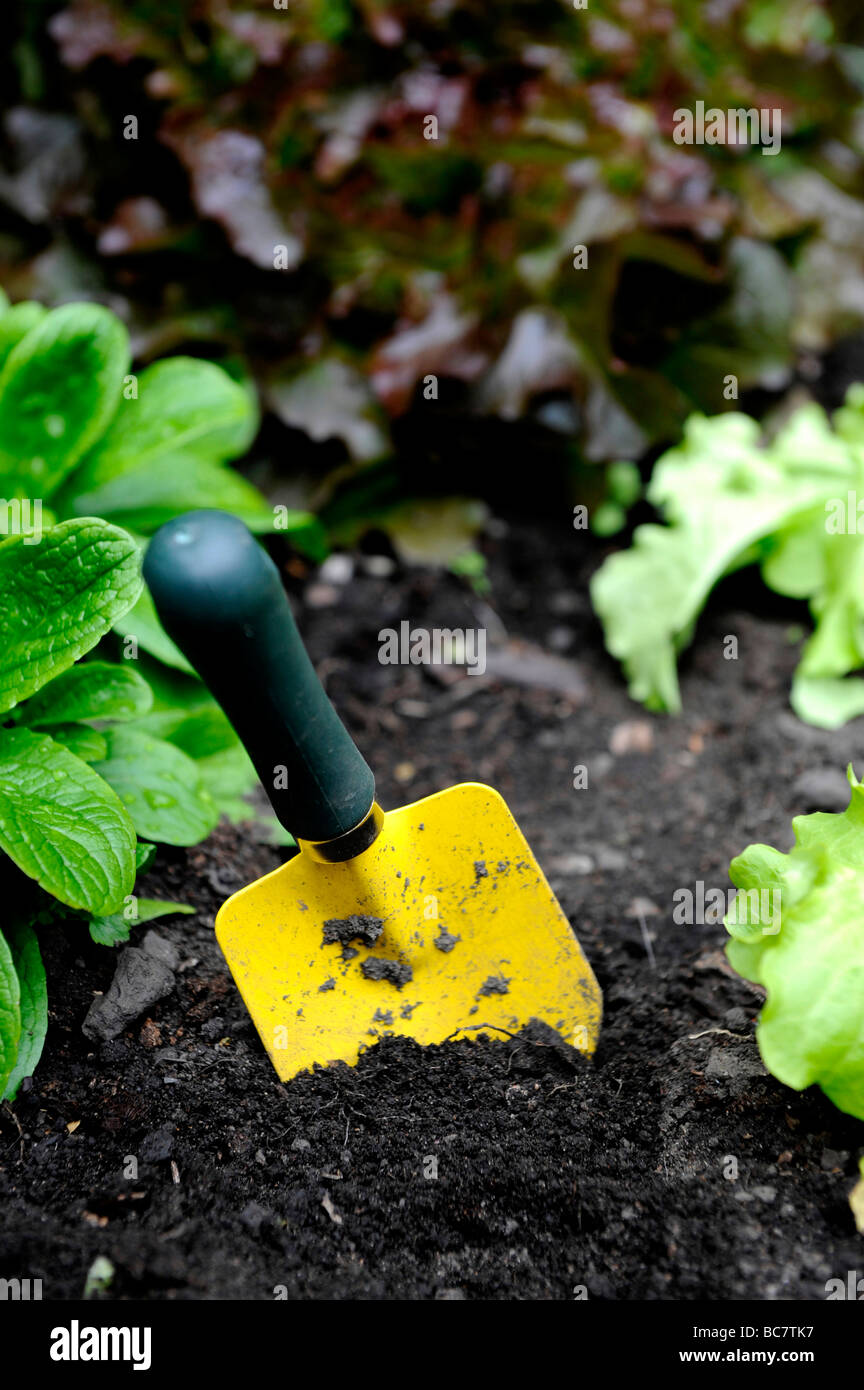 a bright yellow trowel placed in a raised bed full of organic salad ...