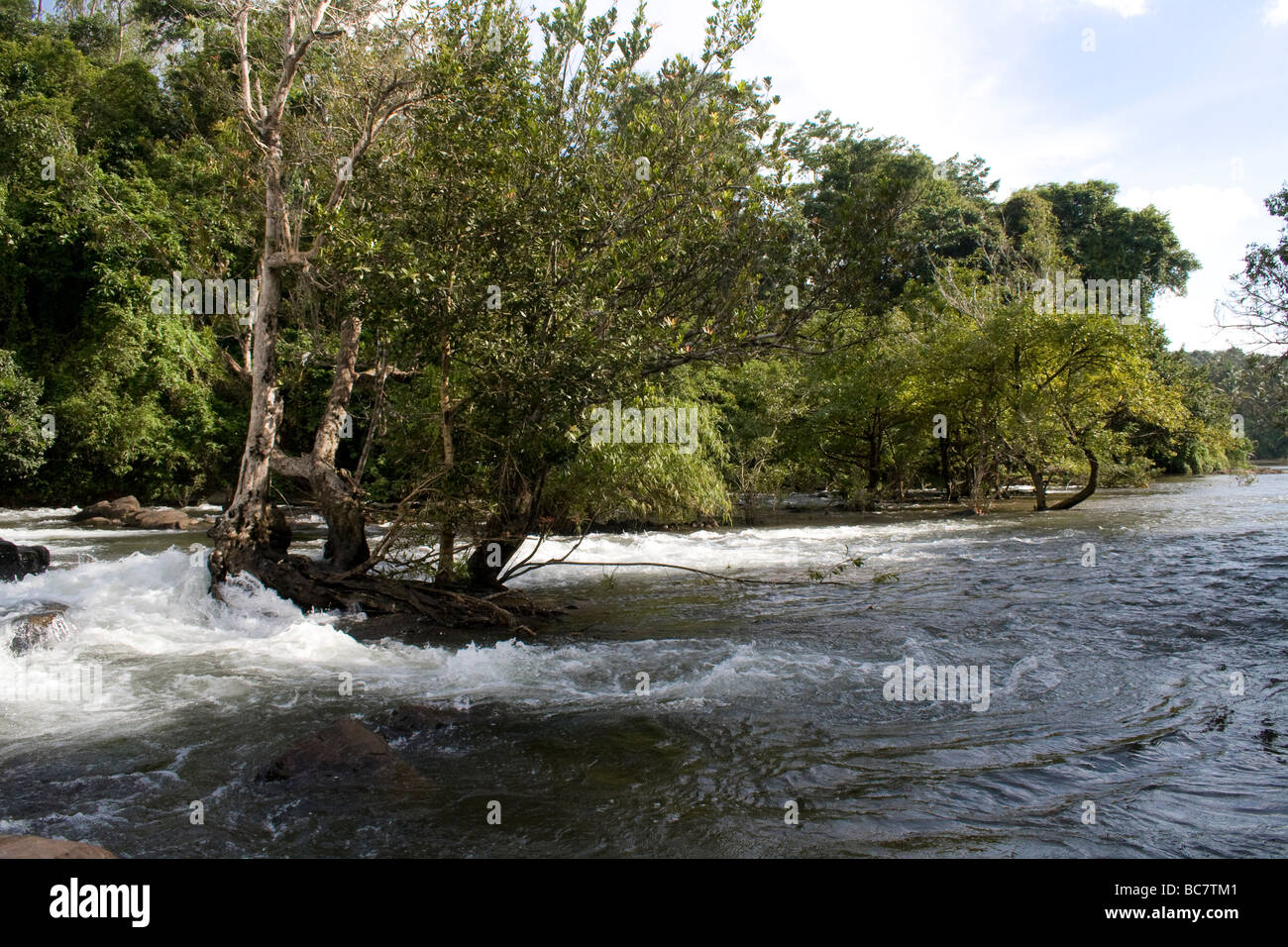 A TRIBUTARY OF PERIYAR RIVER IN FULL FLOW AT KERALA Stock Photo - Alamy