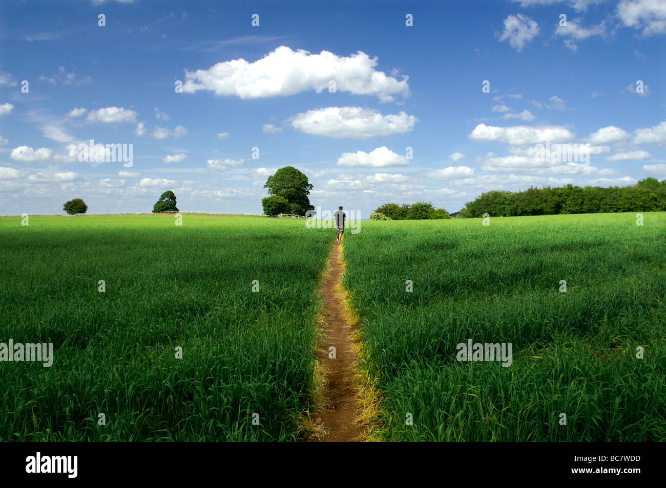 Man on the footpath - Cotswold Way Stock Photo - Alamy