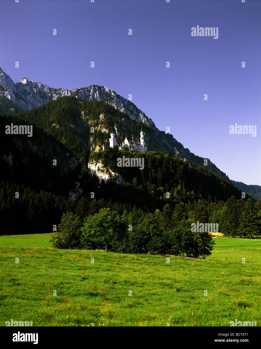 Neuschwanstein Castle Schwangau Fussen Bavaria Germany Stock Photo - Alamy