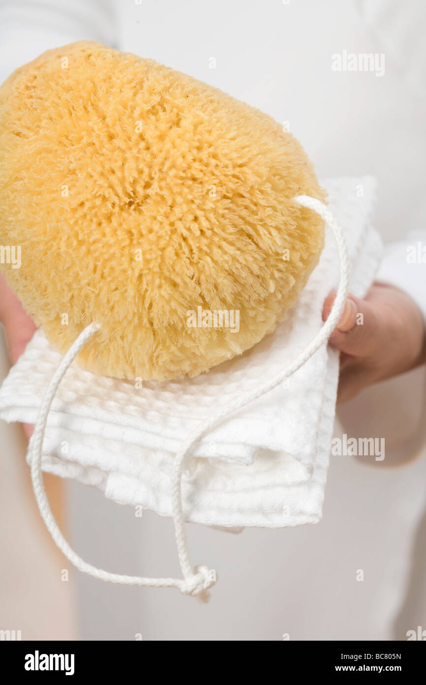 Bath sponge hi-res stock photography and images - Alamy