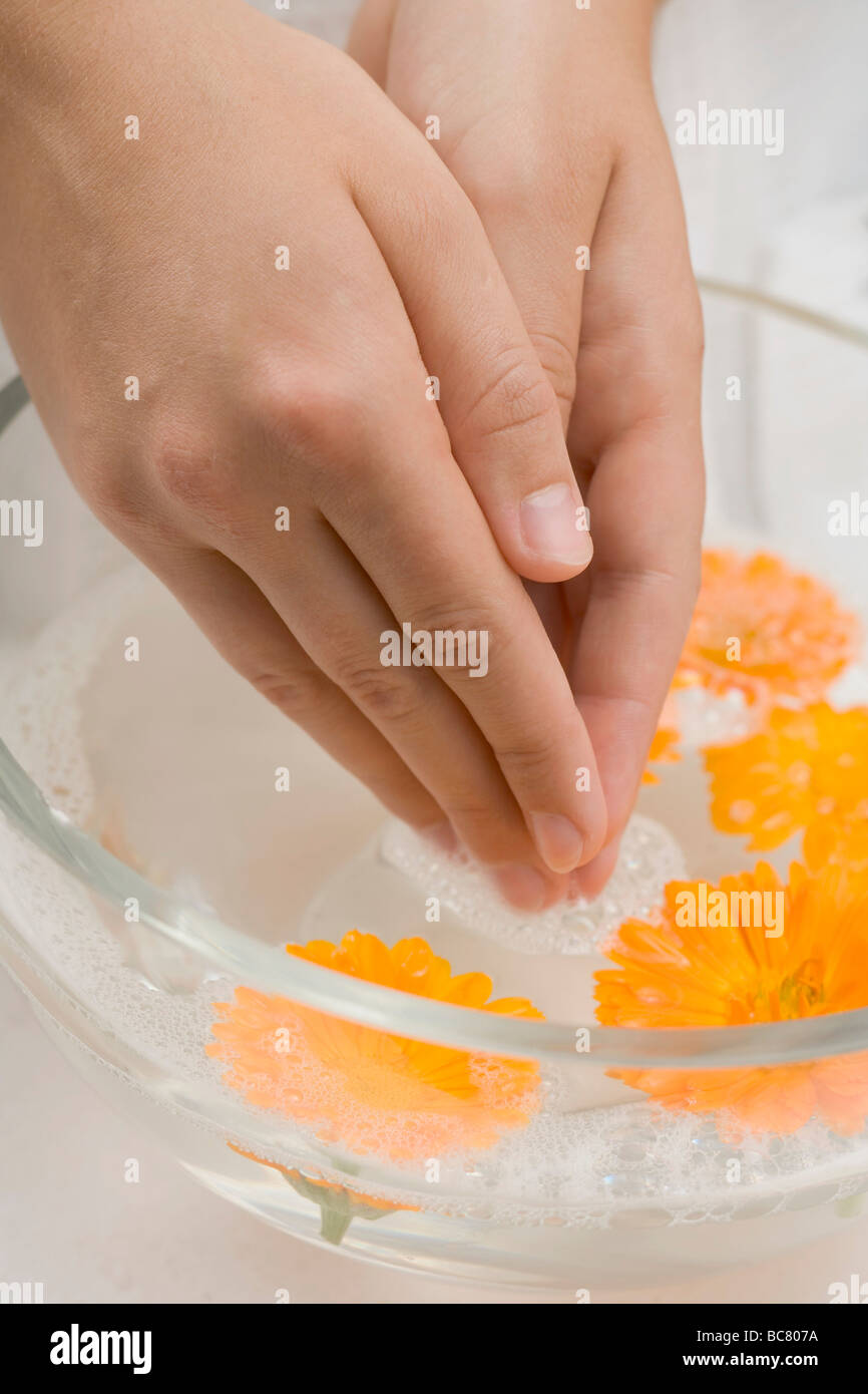 Woman dipping her hands in soapy water with marigolds Stock Photo - Alamy