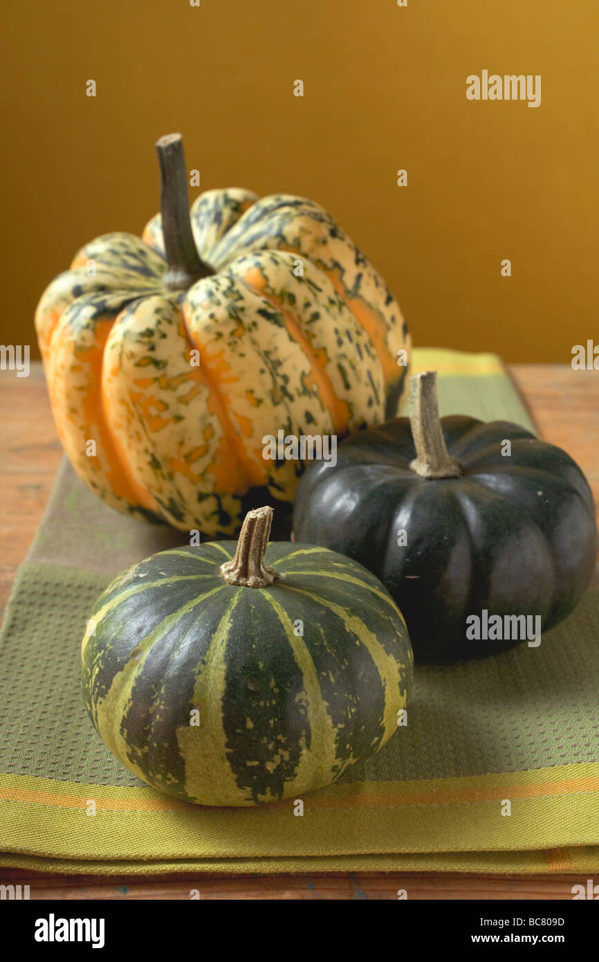 Still life three pumpkins hi-res stock photography and images - Alamy
