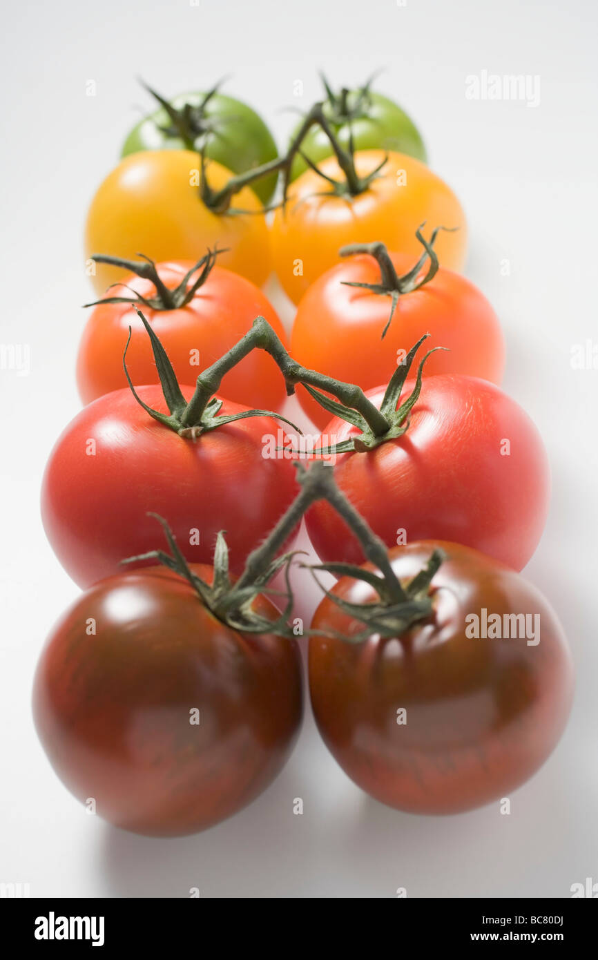 Cherry tomatoes (various colours Stock Photo - Alamy