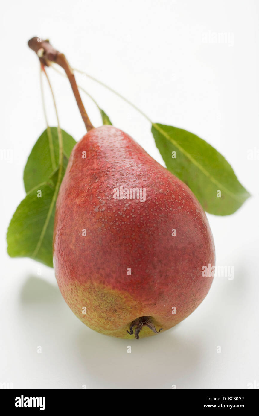Red pear leaf cut out hi-res stock photography and images - Alamy