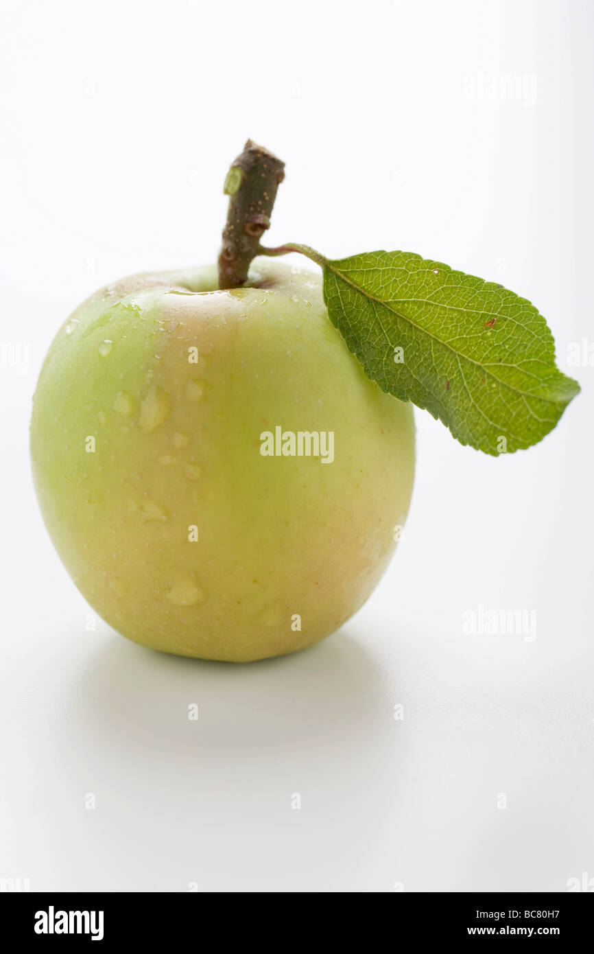 Green apple with stalk and leaf Stock Photo - Alamy