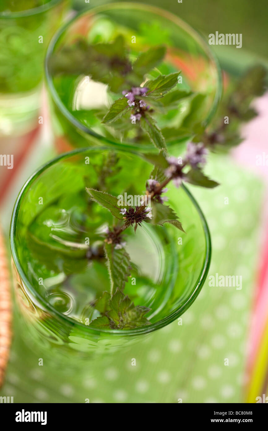 Cold peppermint tea in two glasses Stock Photo - Alamy