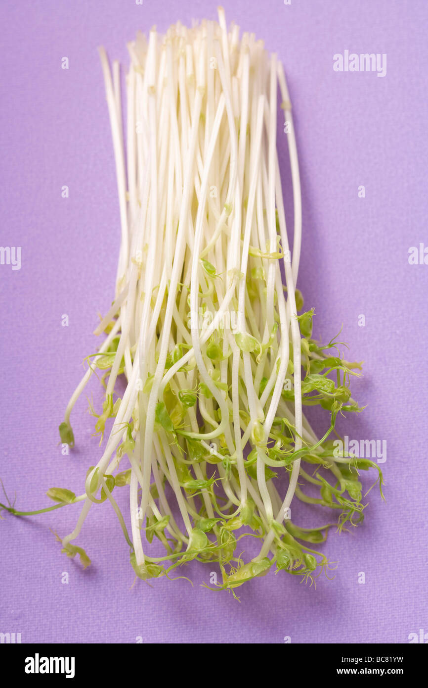 Fresh sprouts Stock Photo - Alamy