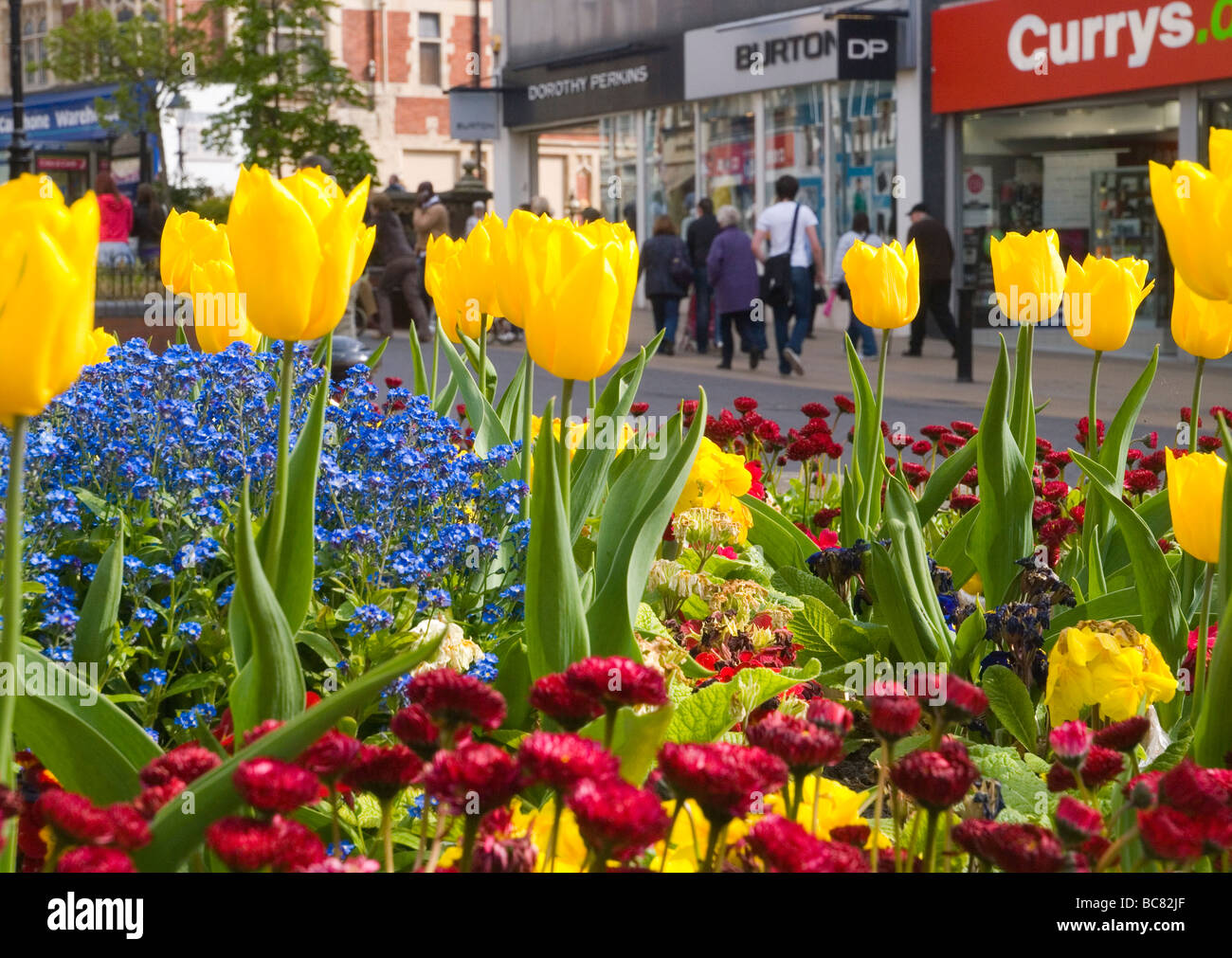 Pretty spring flowers situated along High Street in Lincoln City Centre ...