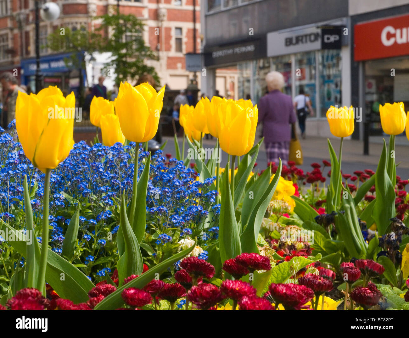 Pretty spring flowers situated along High Street in Lincoln City Centre ...
