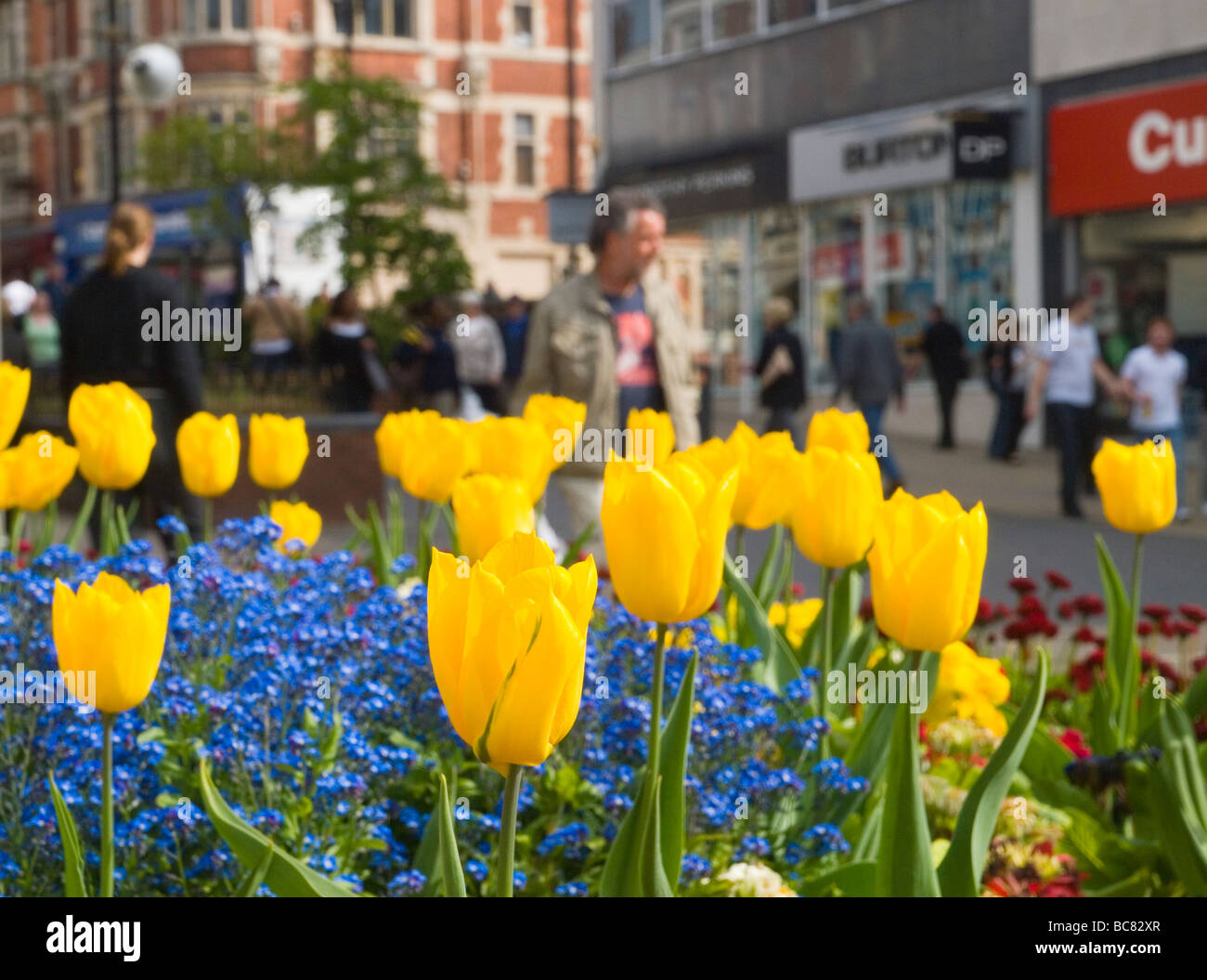 Pretty spring flowers situated along High Street in Lincoln City Centre ...
