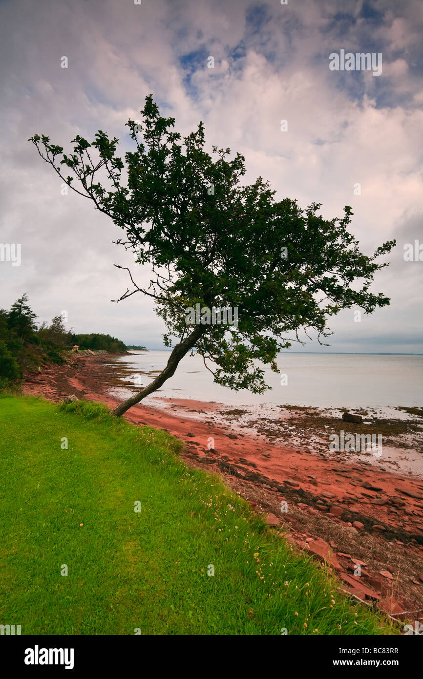 Northumberland strait hi-res stock photography and images - Alamy