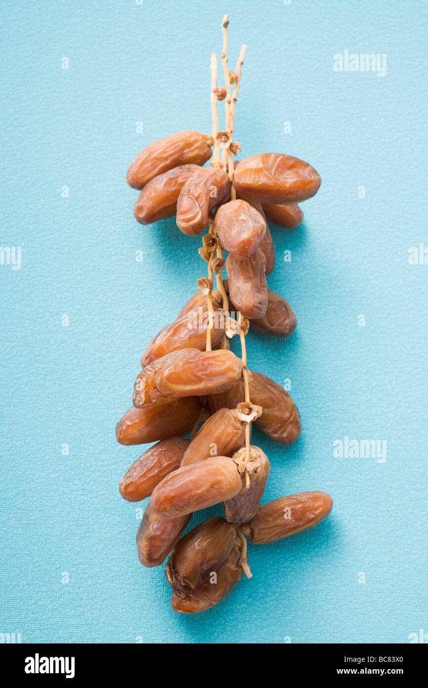 Dates on the stalk Stock Photo - Alamy