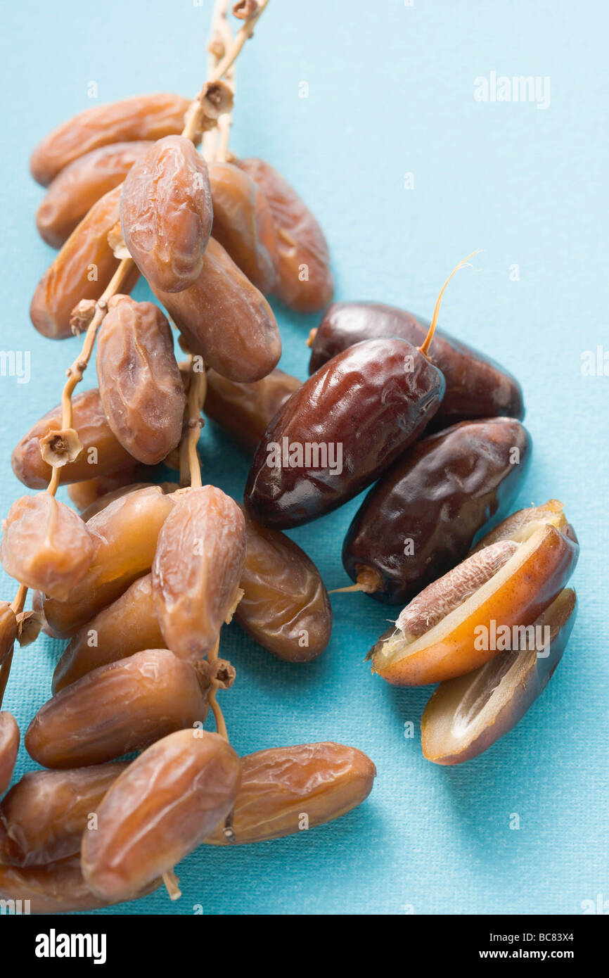 Dates on the stalk Stock Photo - Alamy