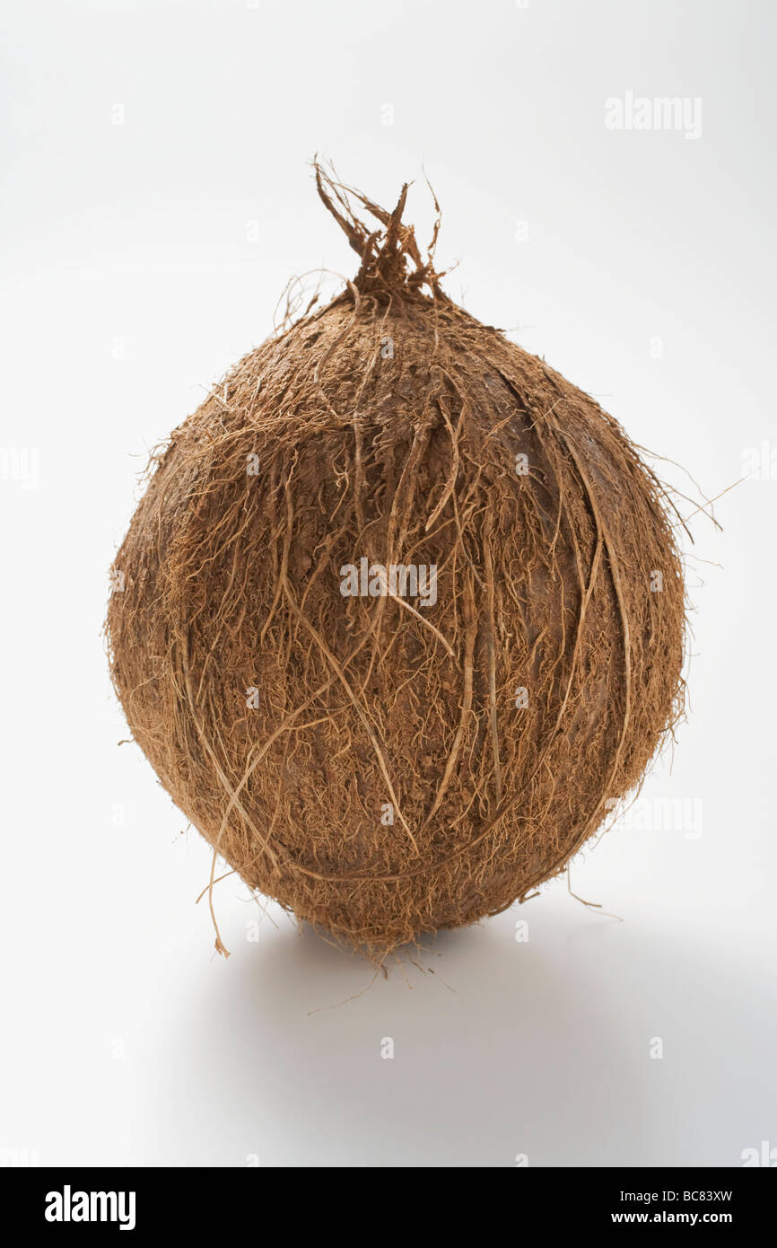 A coconut Stock Photo - Alamy