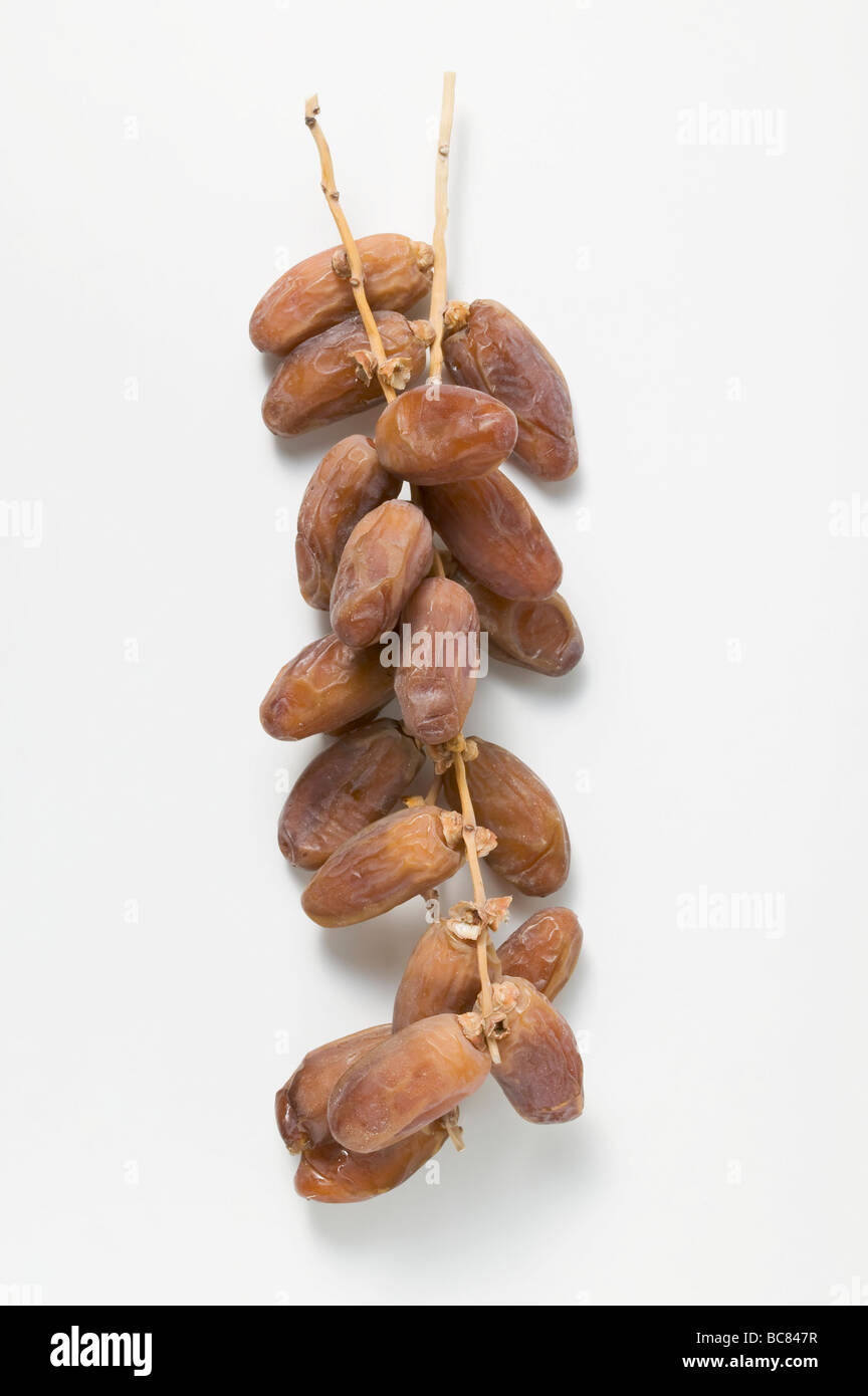 Dried dates on branch hi-res stock photography and images - Alamy
