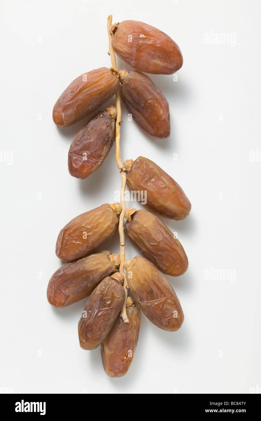 Dates on the stalk hi-res stock photography and images - Alamy