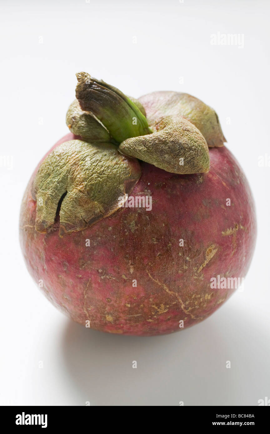 A mangosteen Stock Photo - Alamy