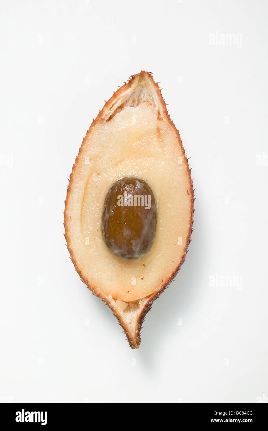 View salak snake fruit hi-res stock photography and images - Alamy