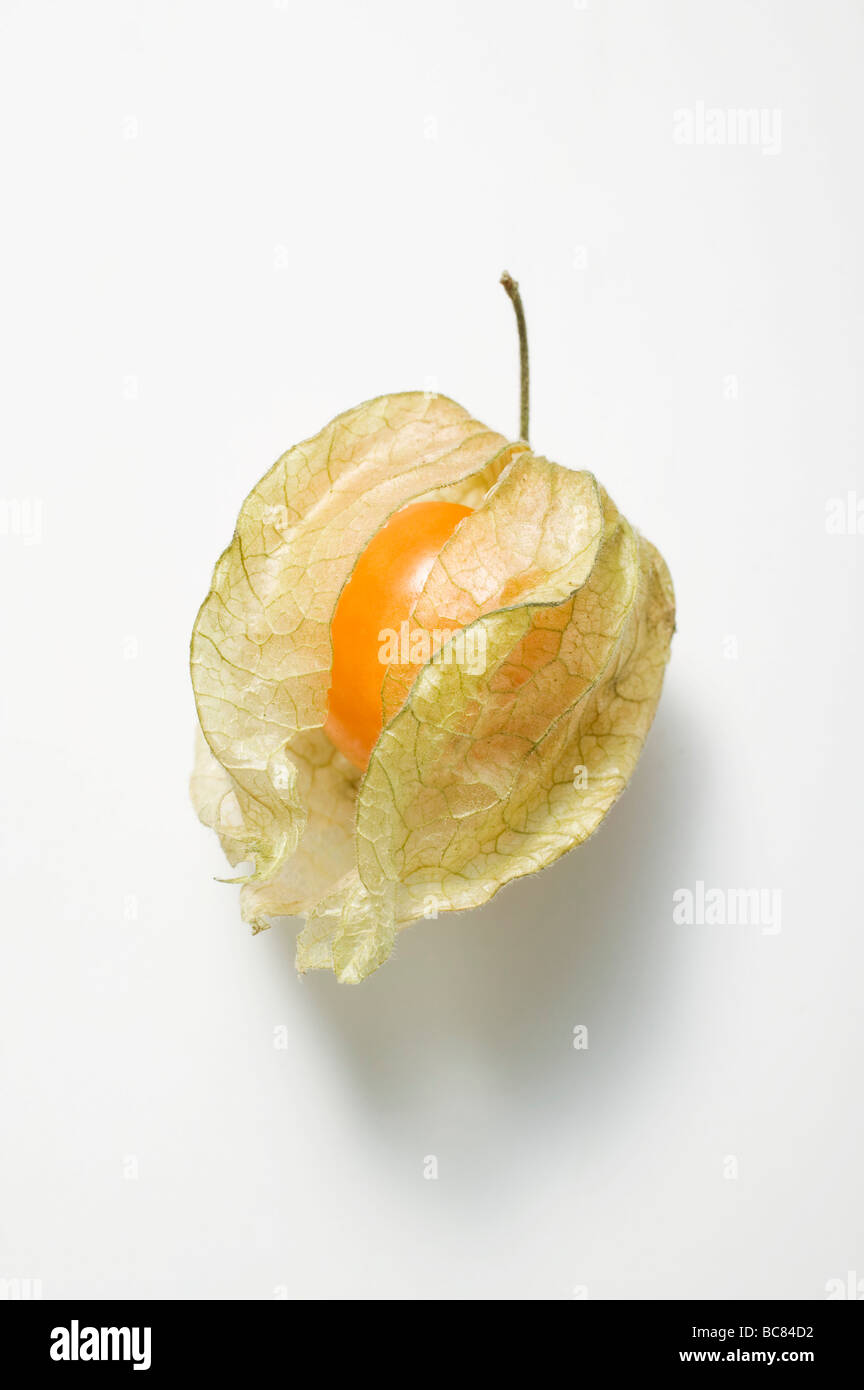 Physalis with husk Stock Photo - Alamy